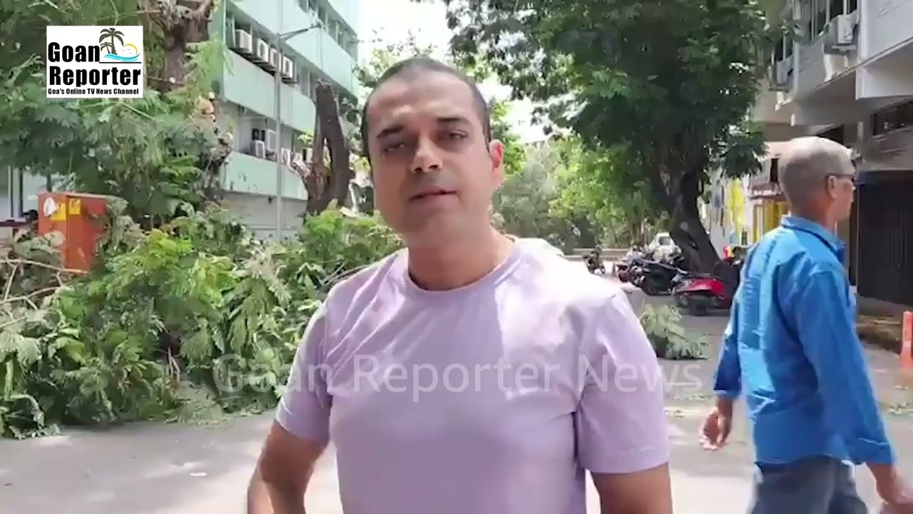 Goan Reporter: Pre-Monsoon Tree Pruning Underway in Panjim Smart City ...